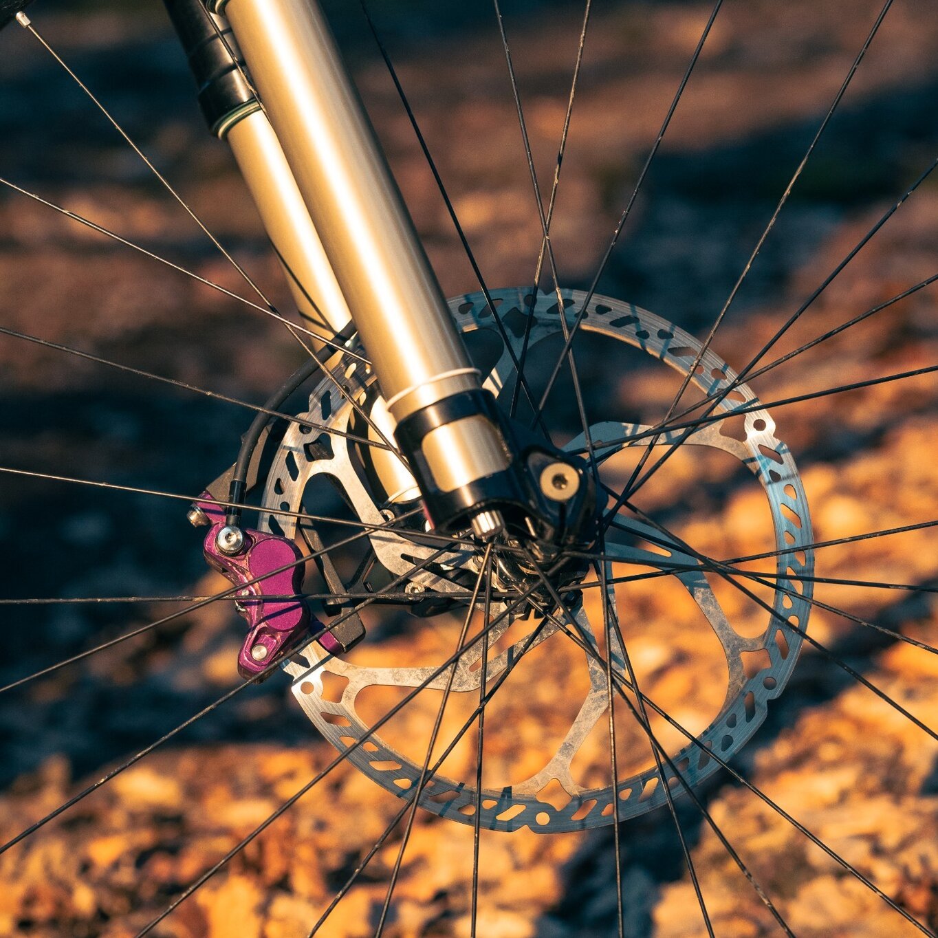 Brake Discs | Trickstuff