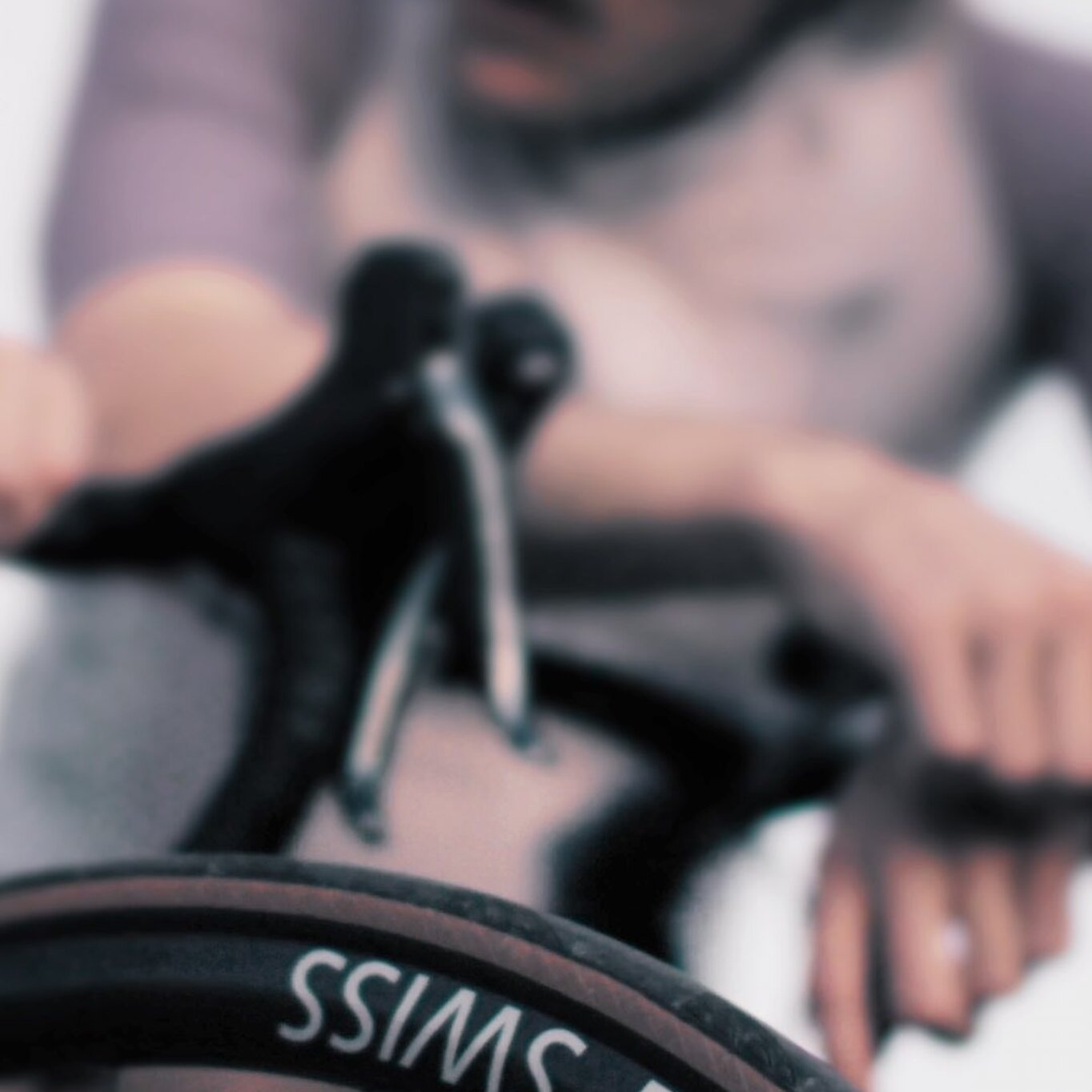AR 1600 SPLINE® | DT Swiss