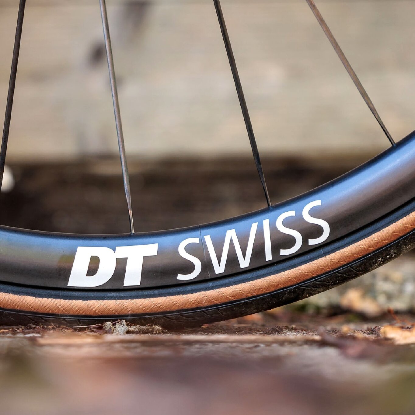 AR 1600 SPLINE® | DT Swiss