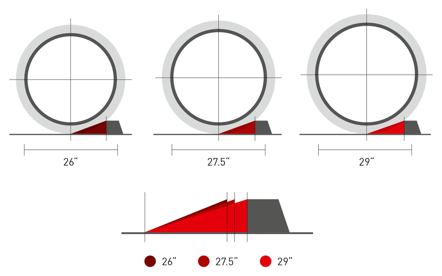 Rim Diameter for MTB | DT Swiss