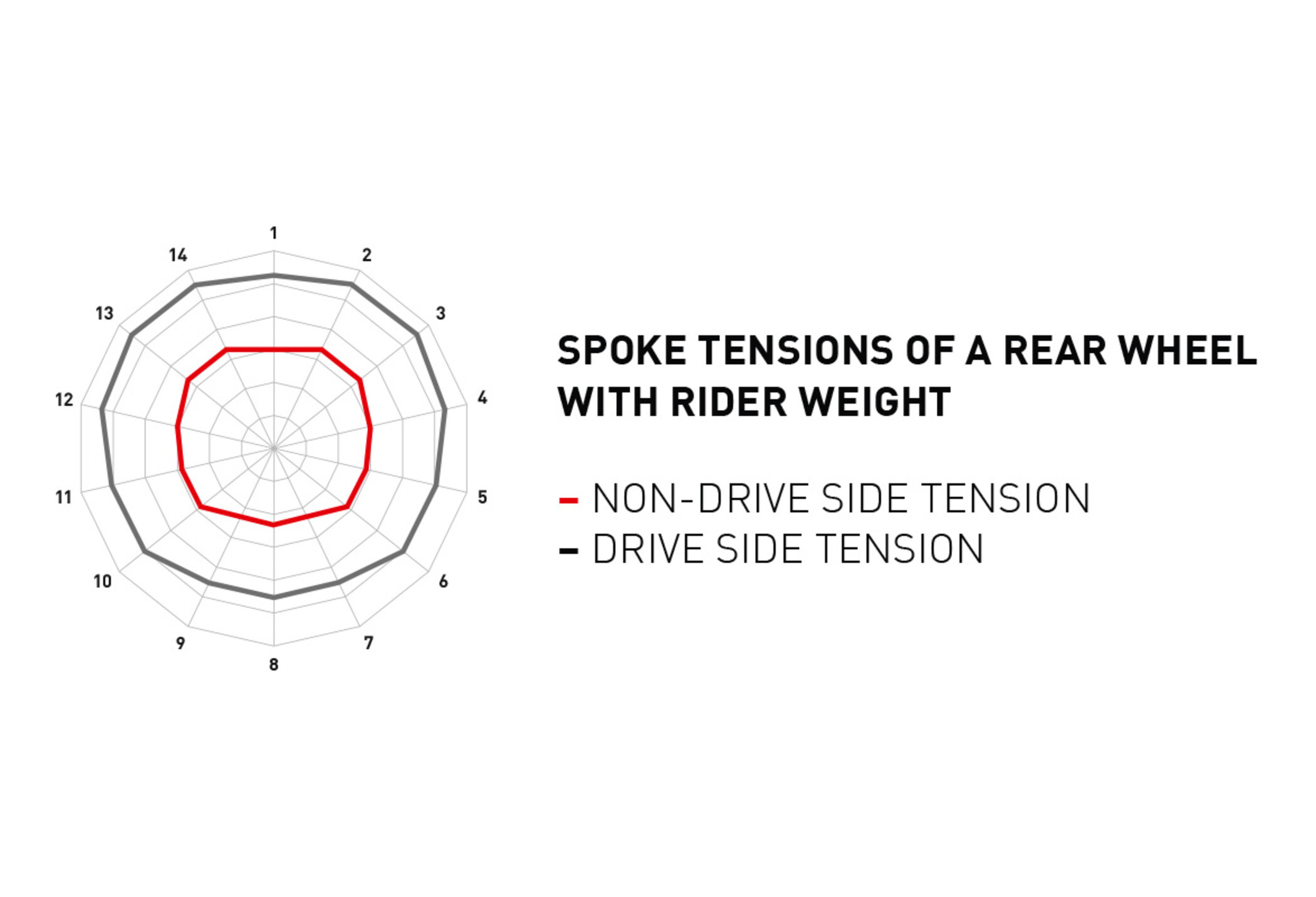 Hand-Built Technology | DT Swiss